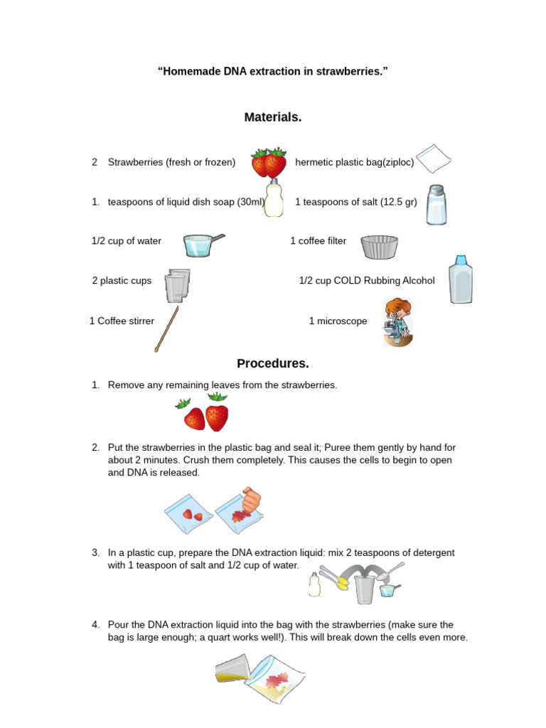 Homemade DNA Extraction in Strawberries | PDF