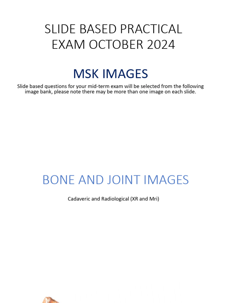 Mid-Term Spotter Exam Images (2024) | PDF