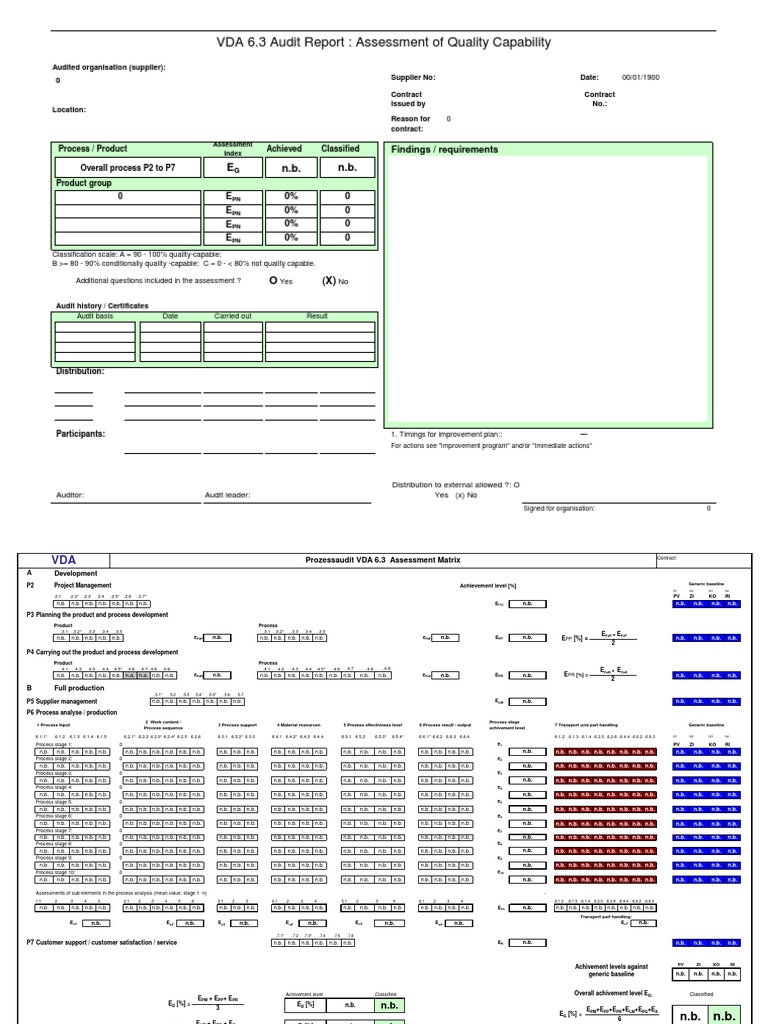 Vda63 Audit Report English | Audit | Supply Chain
