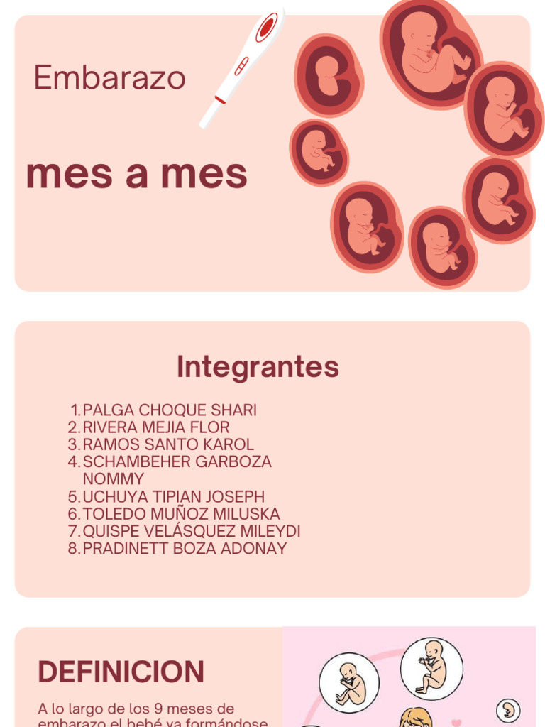 Etapas del Embarazo Mes a Mes | PDF | El embarazo | Parto