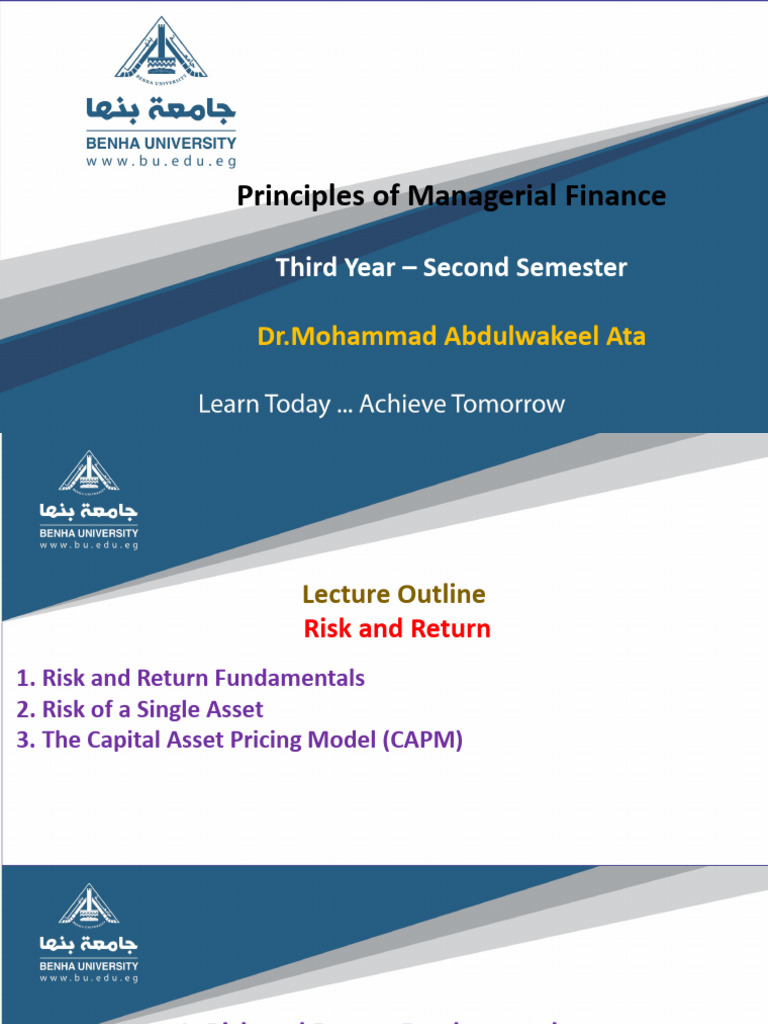 Understanding Risk and Return in Finance | PDF | Investing | Risk