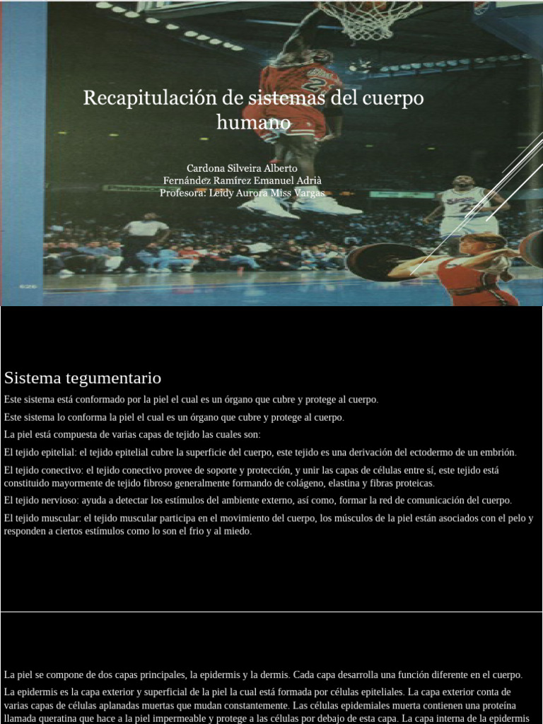 recapitulación de sistemas del cuerpo humano | PDF | Digestión | Músculo