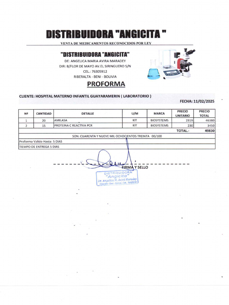 Proforma Modificada Materno Gya Angy 2025 | PDF