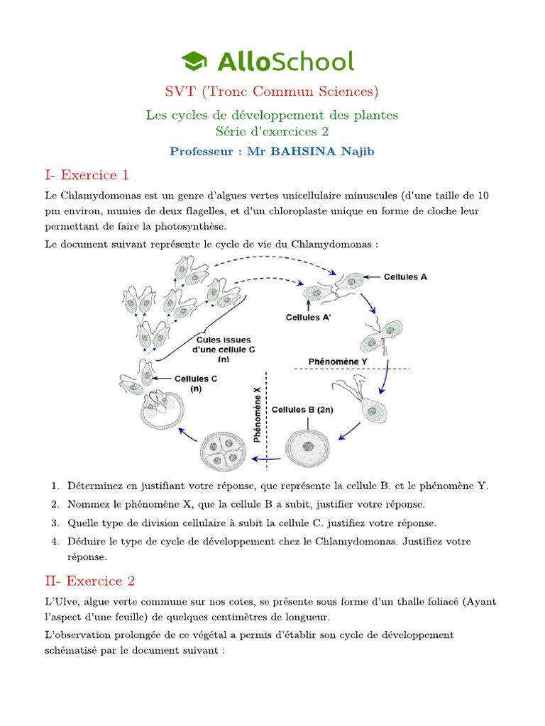 Les Cycles de Developpement Des Plantes Serie D Exercices 2 2 | PDF