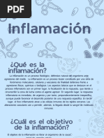 Fases de la Inflamación en PDF | PDF | Inflamación | Inmunología