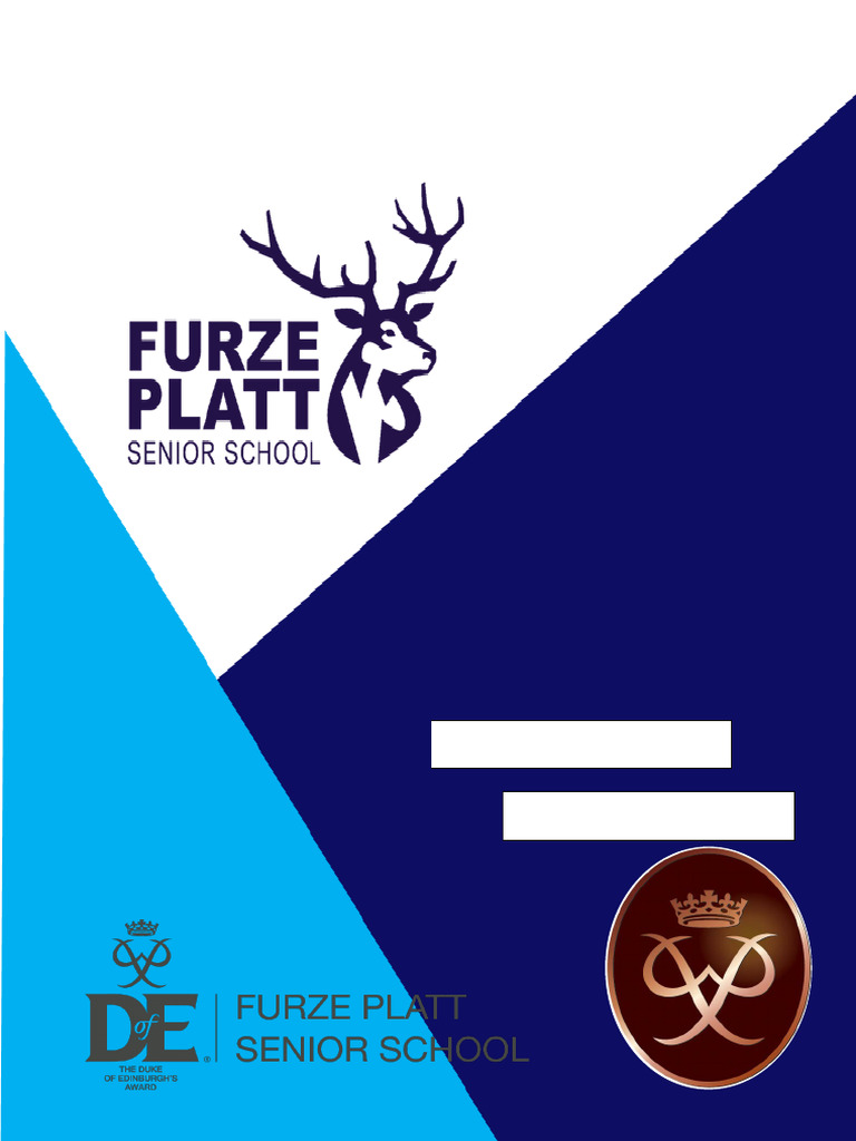 Bronze-Assessor Report Pack | PDF
