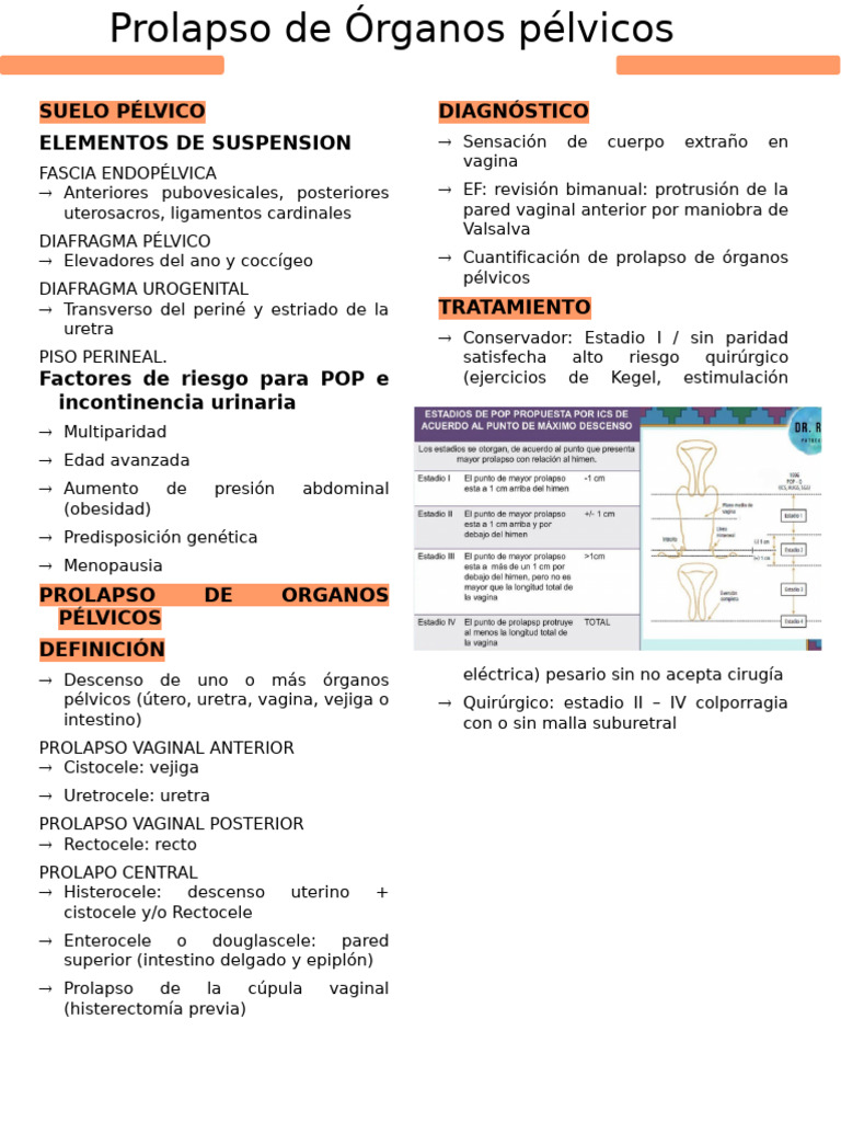21 Prolapso de Organos Pélvicos | PDF | Anatomia sexual | Sistema ...