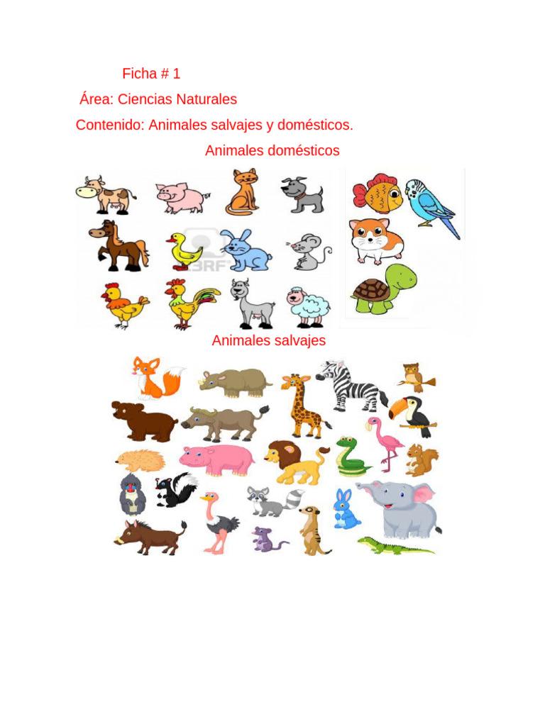Animales Salvajes y Domesticos Ficha 1 | PDF