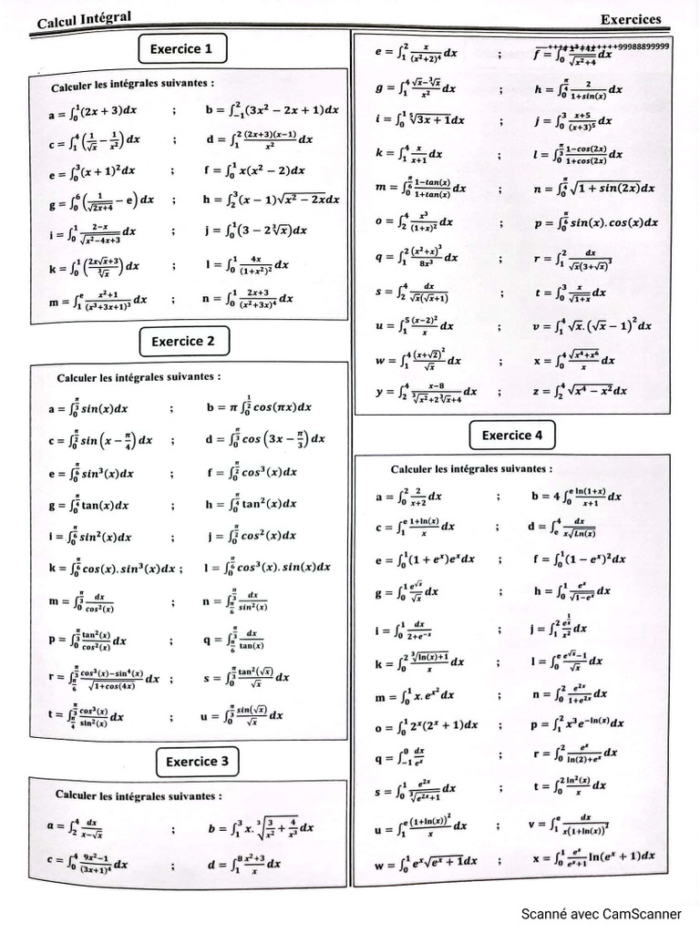 calcul integral(Exercice) (2) | PDF