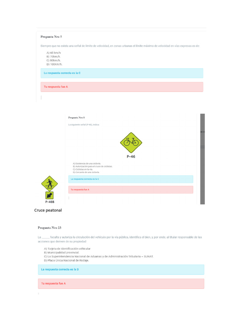 Cruce Peatonal | PDF