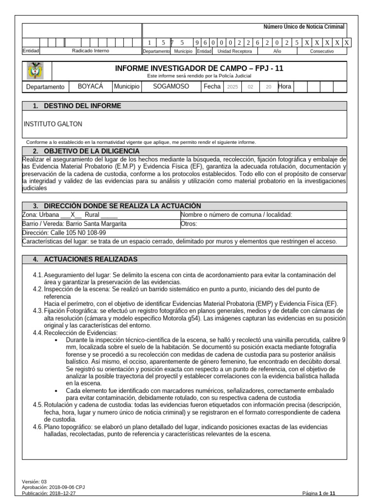 FPJ-11-Informe-Investigador-de-Campo-V-0 (4) Original | PDF | Munición