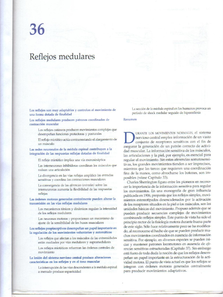 Capitulo 36 Principios de Neurociencia Kandel | PDF