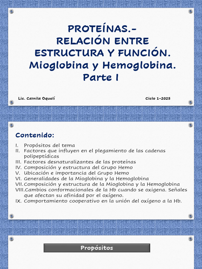 Clase 5. Relacion Estruc-Funcion Proteínas-Parte I-2025 | PDF | Hemoglobina | Proteínas
