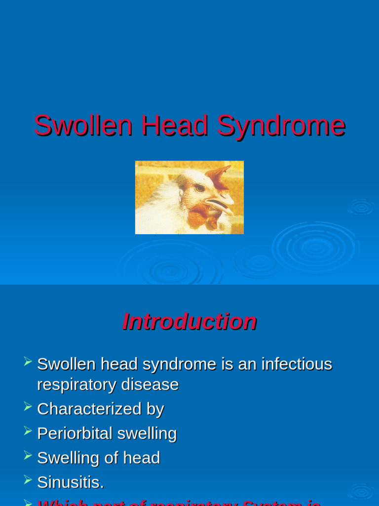 Swollen Head Syndrome | PDF