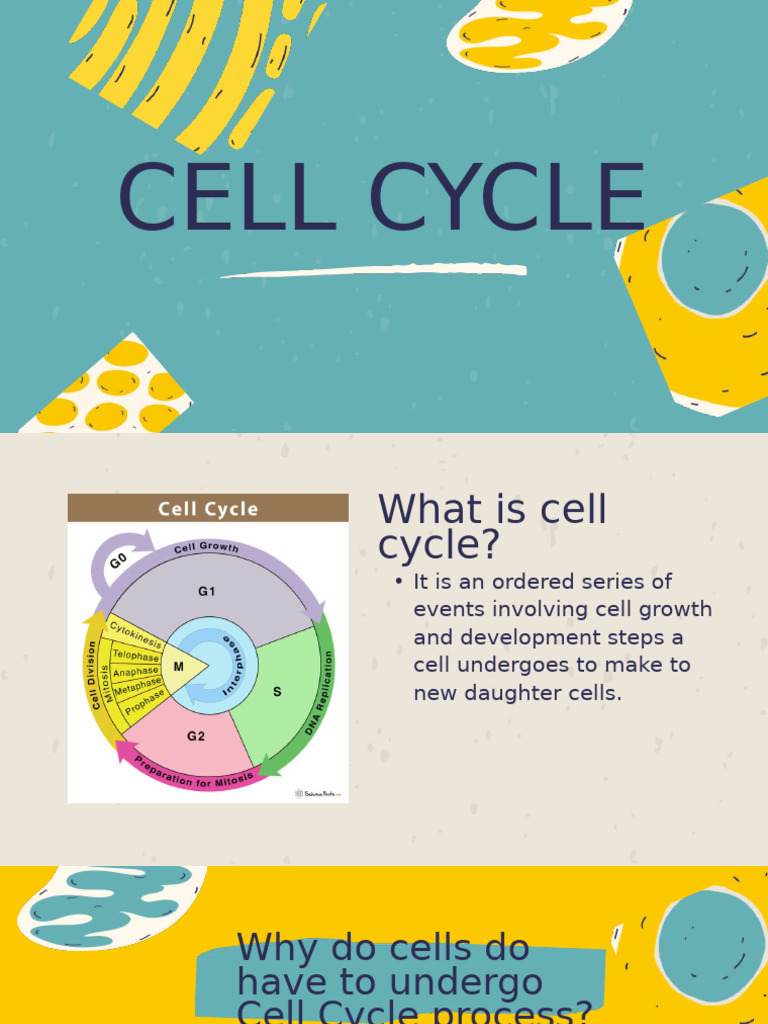 What Is Cell Theory Science Presentation in Blue Yellow Hand Drawn ...
