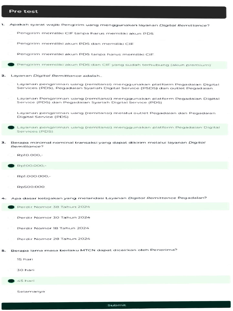 Elearn Digital Remittance | PDF