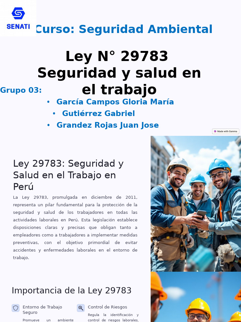 Ley 29783 Seguridad y Salud en El Trabajo en Peru | PDF | Valores | Responsabilidad social ...