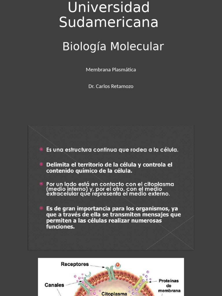 Membrana Plasmatica | PDF