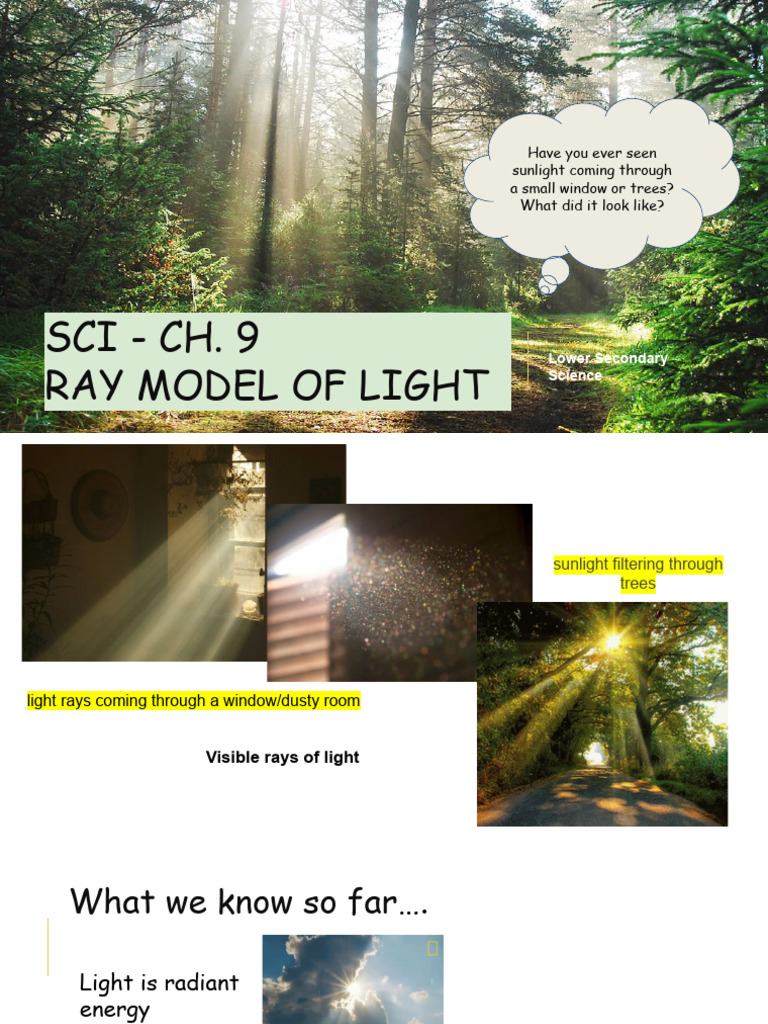 SCI- Ch. 9 Ray Model of Light student.pptx (1) | PDF | Reflection (Physics) | Mirror