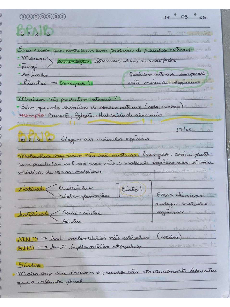Naomi N.W, Caderno BPNB - Biotec, 1°B 2025 | PDF