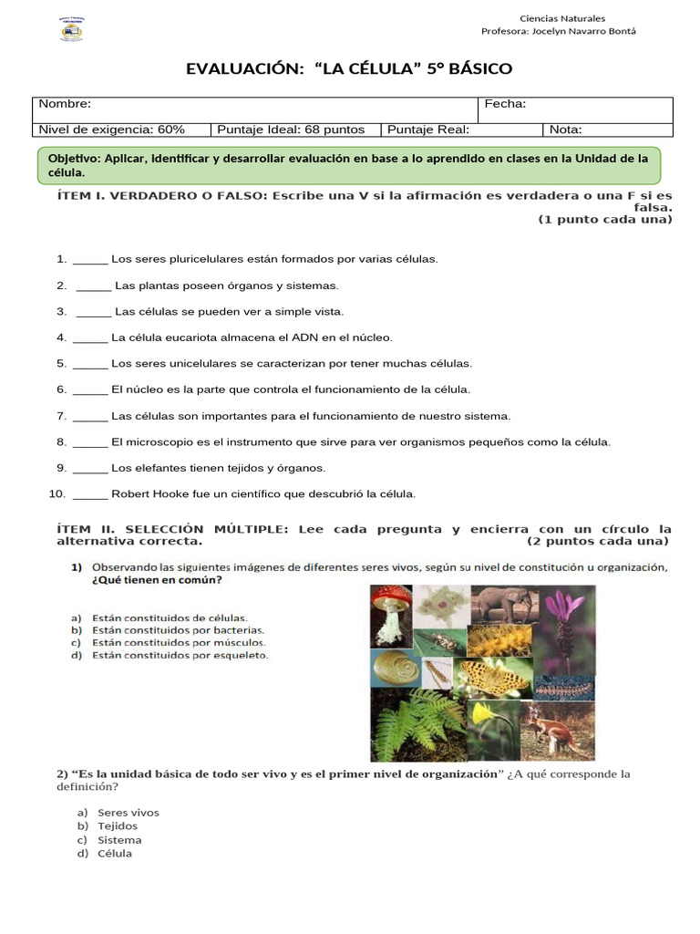 Evaluación sobre la Célula 5° Básico | PDF | Biología Celular) | Organismos