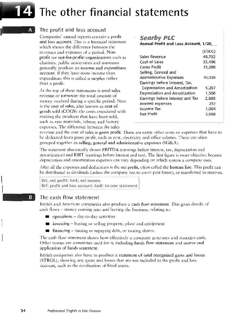 P - English in Use - Financial Statements | PDF