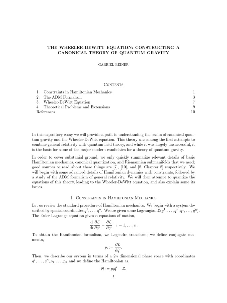 Wheeler DeWitt | PDF | Hamiltonian Mechanics | Field (Physics)