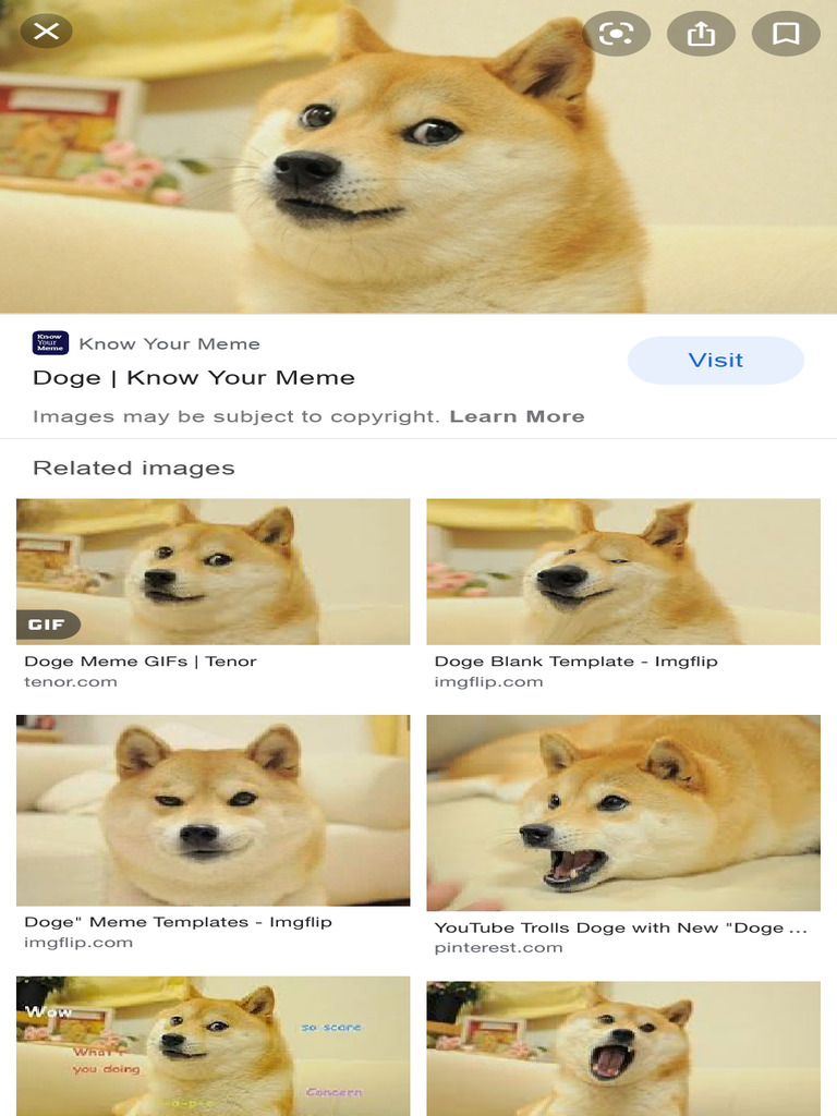 Doge - Google Search | PDF