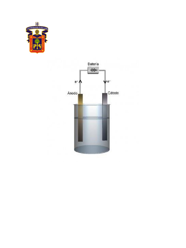 Practica_7.-_Electrolisis_de_soluciones[1] | PDF | Redox | Electrodo