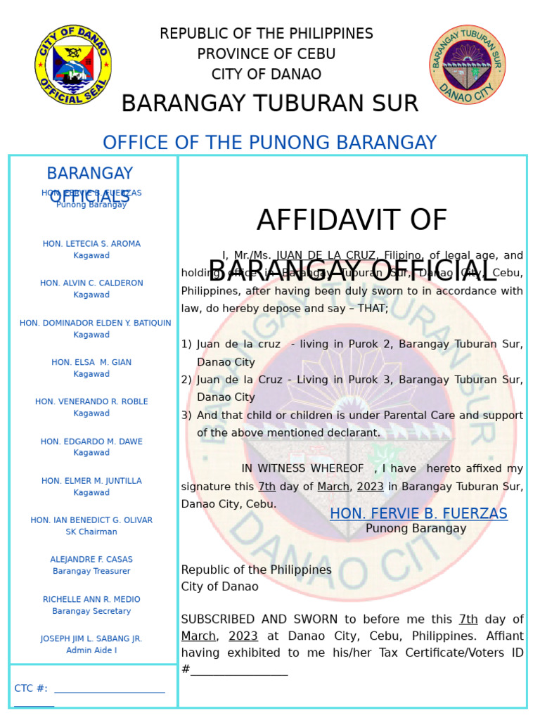 Affidavit of Barangay Official | PDF
