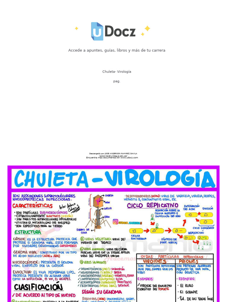 chuleta-premium-500763-downloadable-3156994 | PDF