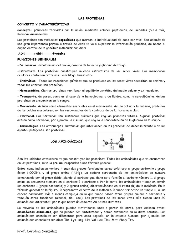 Protidos Teorico Completo | PDF | Aminoácidos | Péptido