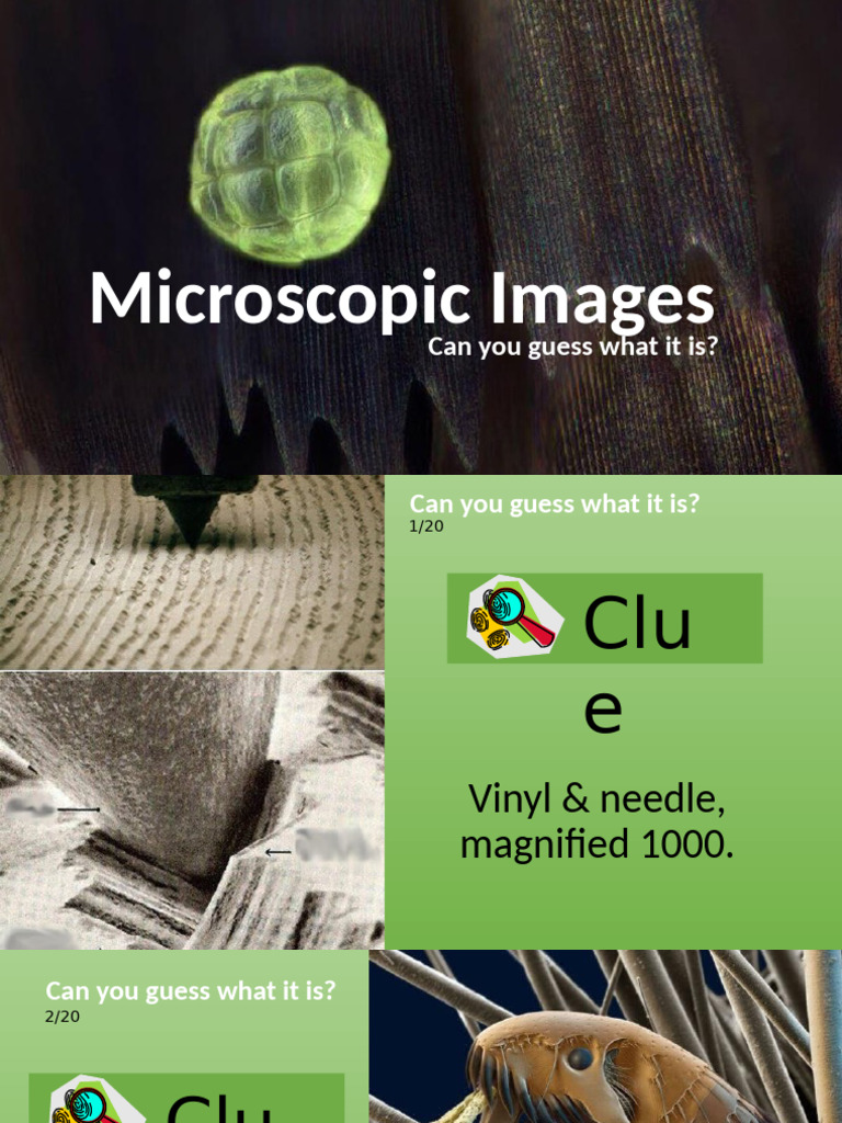 Amazing Images Through The Eyes of The Electron Microscope. 2 | PDF
