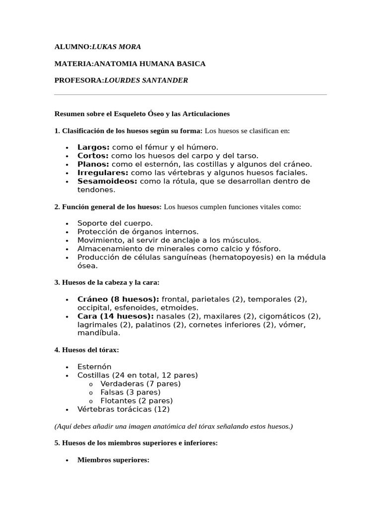 Esqueleto y Articulaciones: Guía Básica | PDF