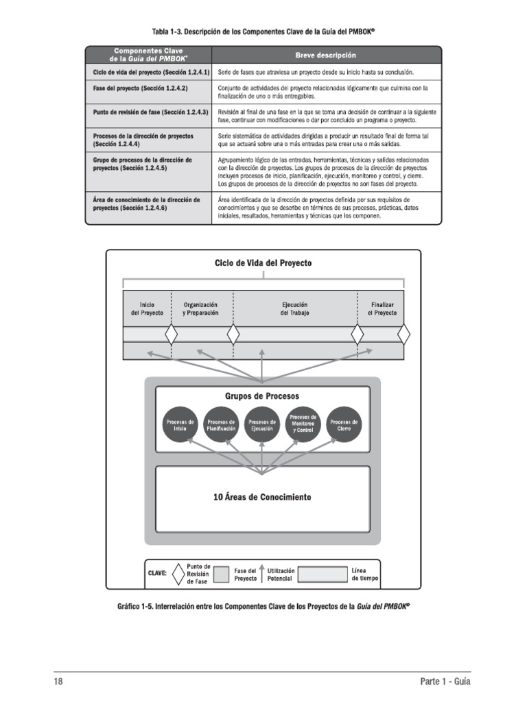 Ciclo De Vida Del Proyecto Pdf