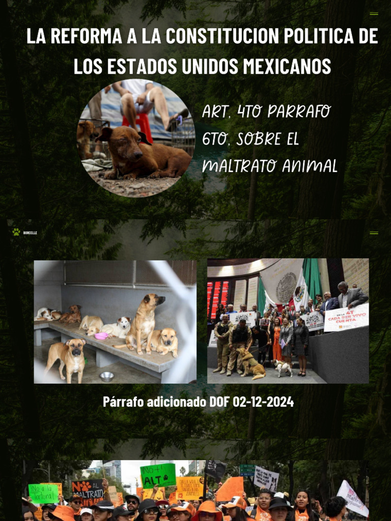 la reforma a la constitucion politica de los estados unidos mexicanos | PDF