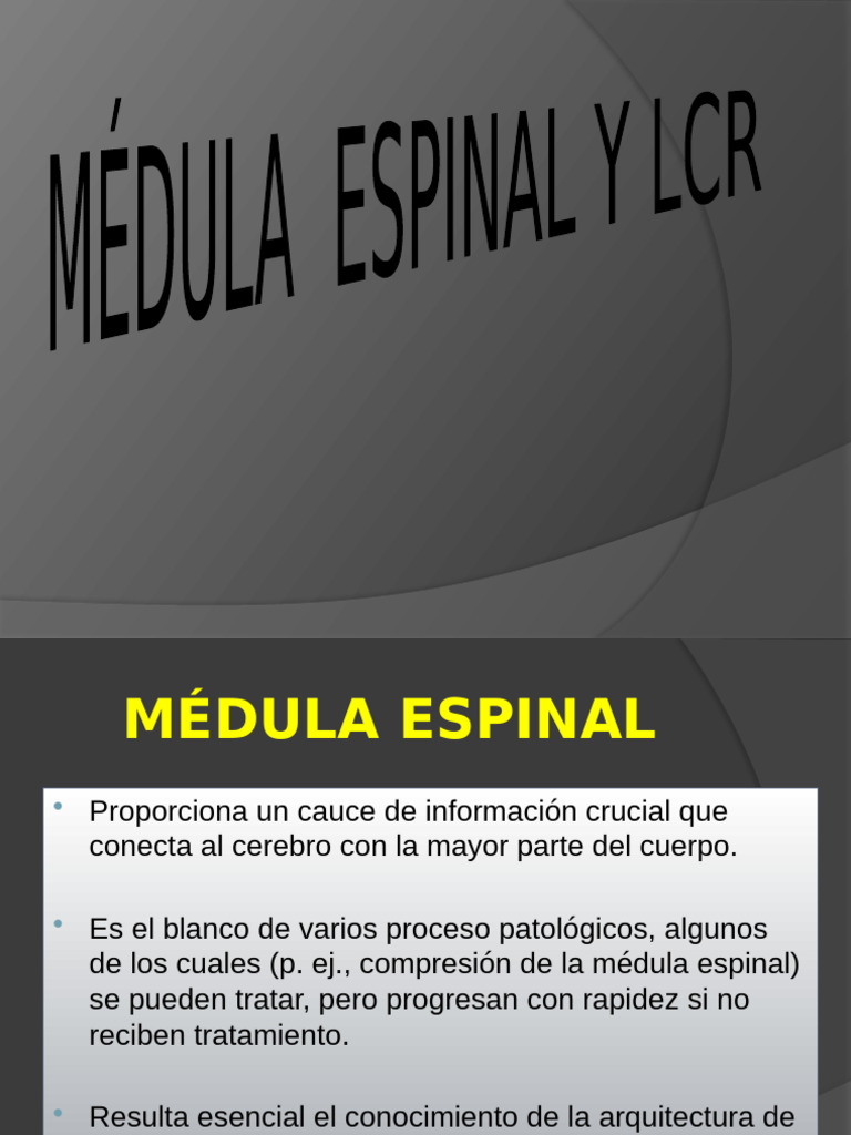 Medula Espinal y LCR | PDF | Fluido cerebroespinal | Médula espinal