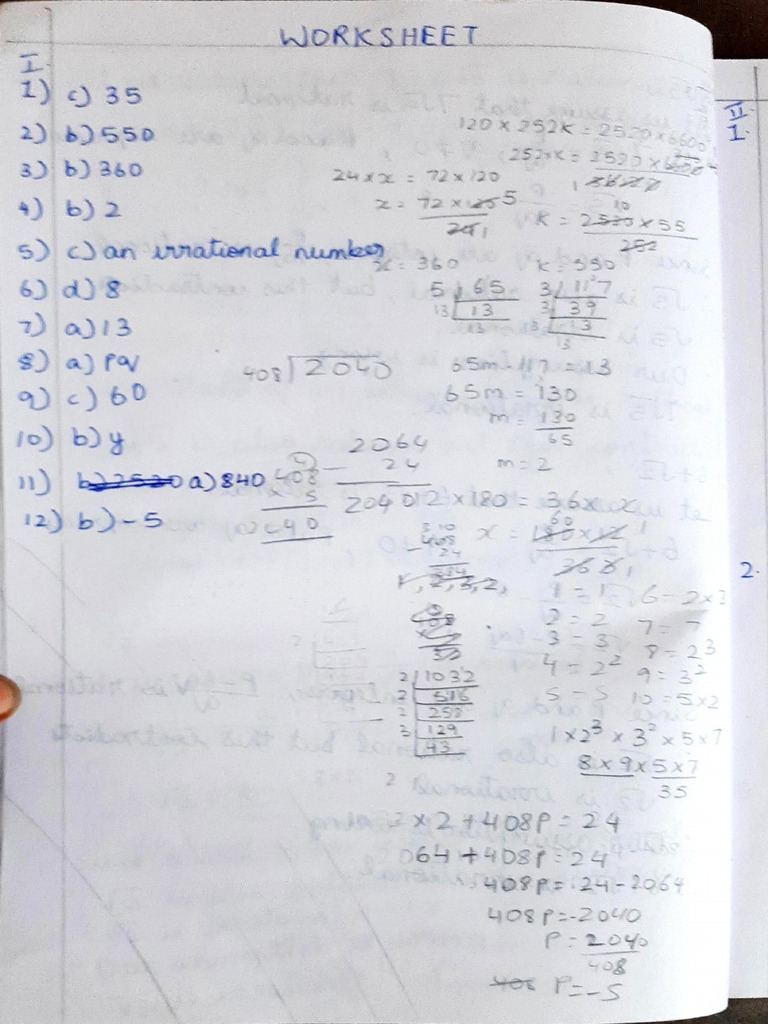 Maths Worksheet 1 | PDF