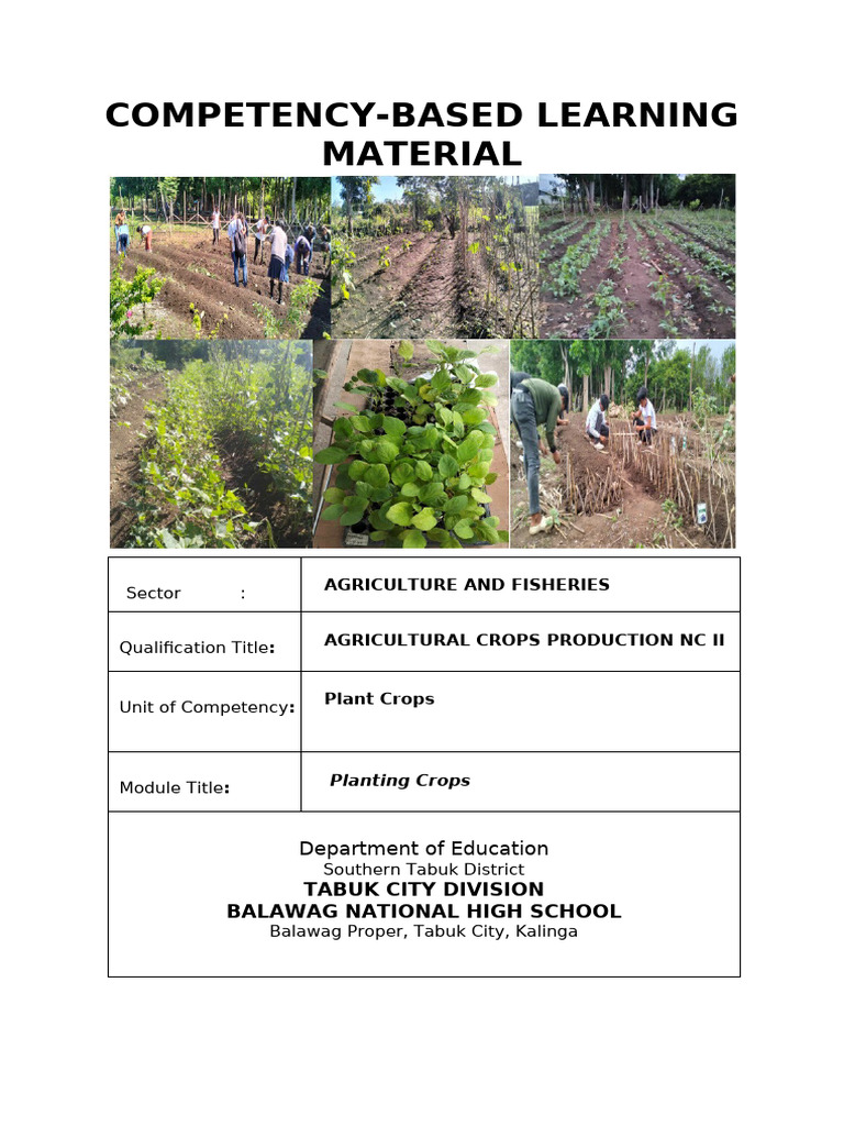 Elmer Final TM | PDF | Plant Nursery | Learning Styles