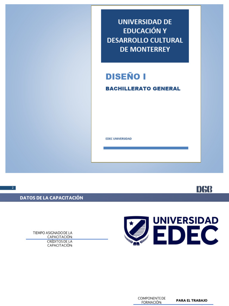Optativa 1 Diseño I | PDF
