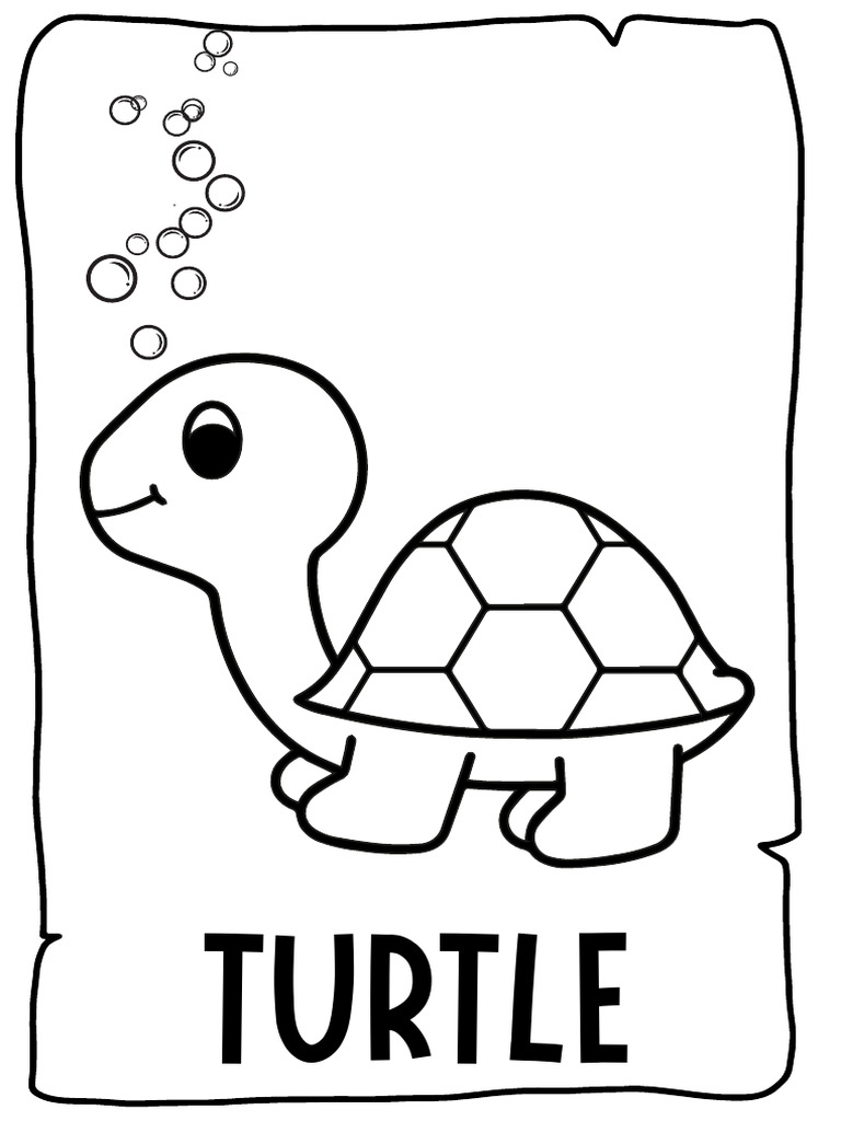 Turtle | PDF