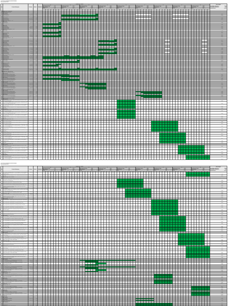 Master Action Plan Rudin BRI Murai | PDF