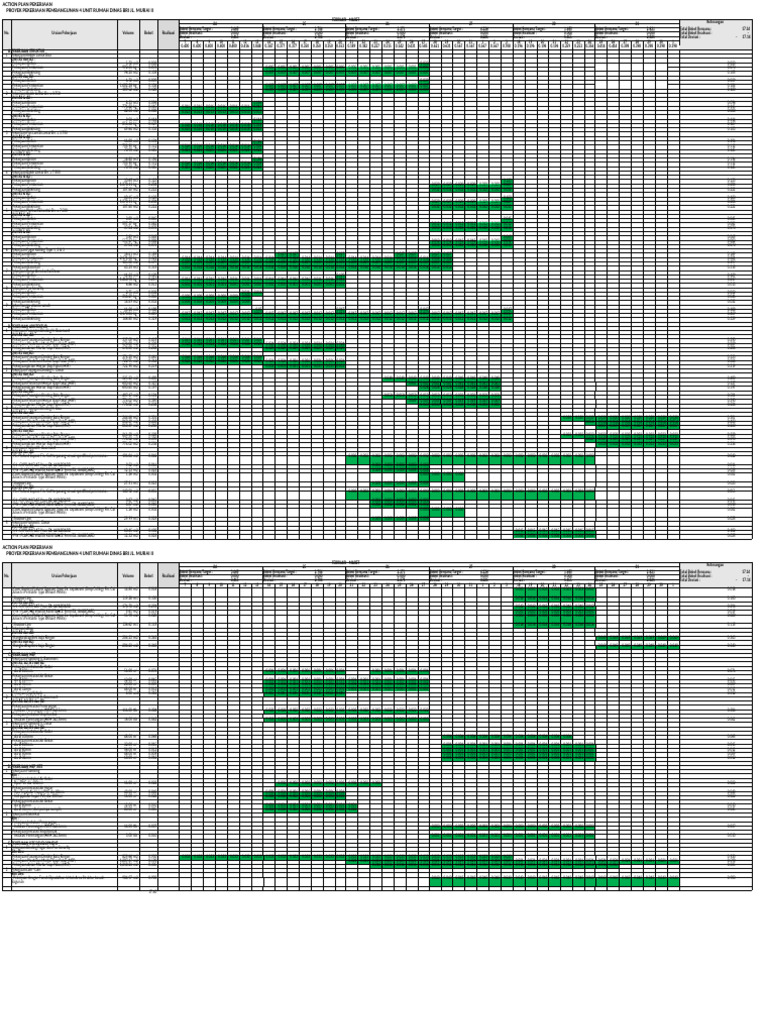 Monitoring Rencana & Realisasi Action Plan Rudin BRI Murai | PDF