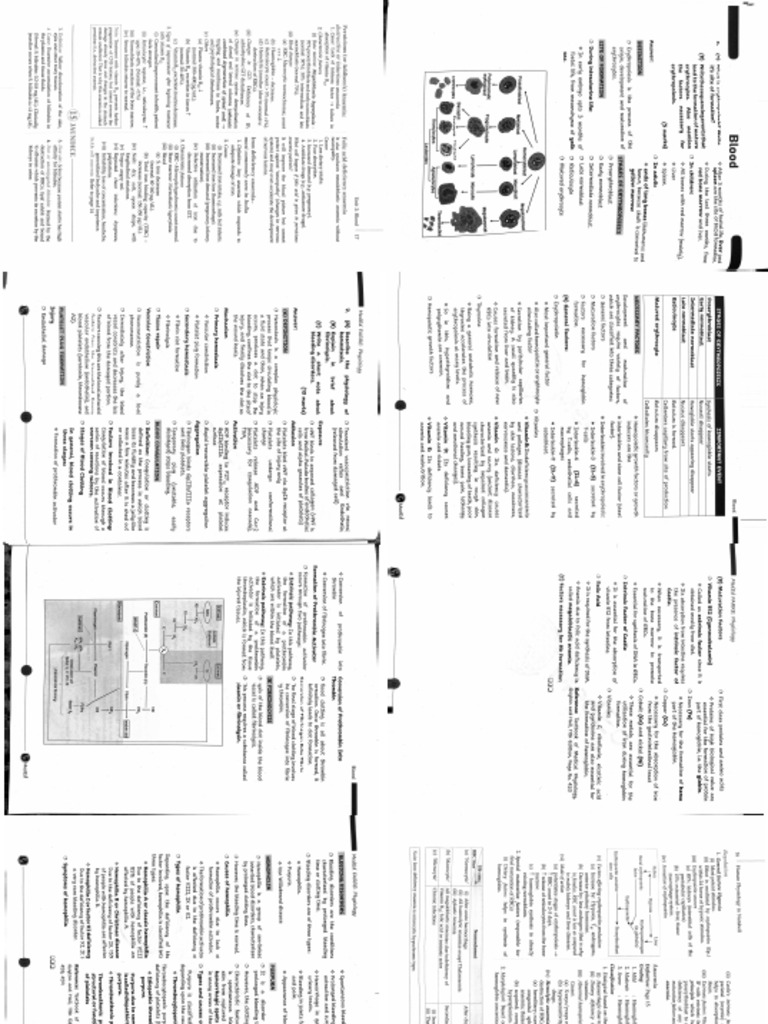 Physio1 Prelims | PDF