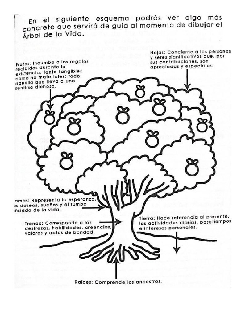 1 Arbol | PDF