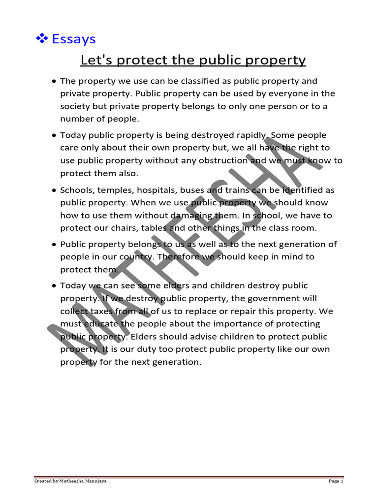 Protecting Public Property for Future Generations | PDF | Writing ...