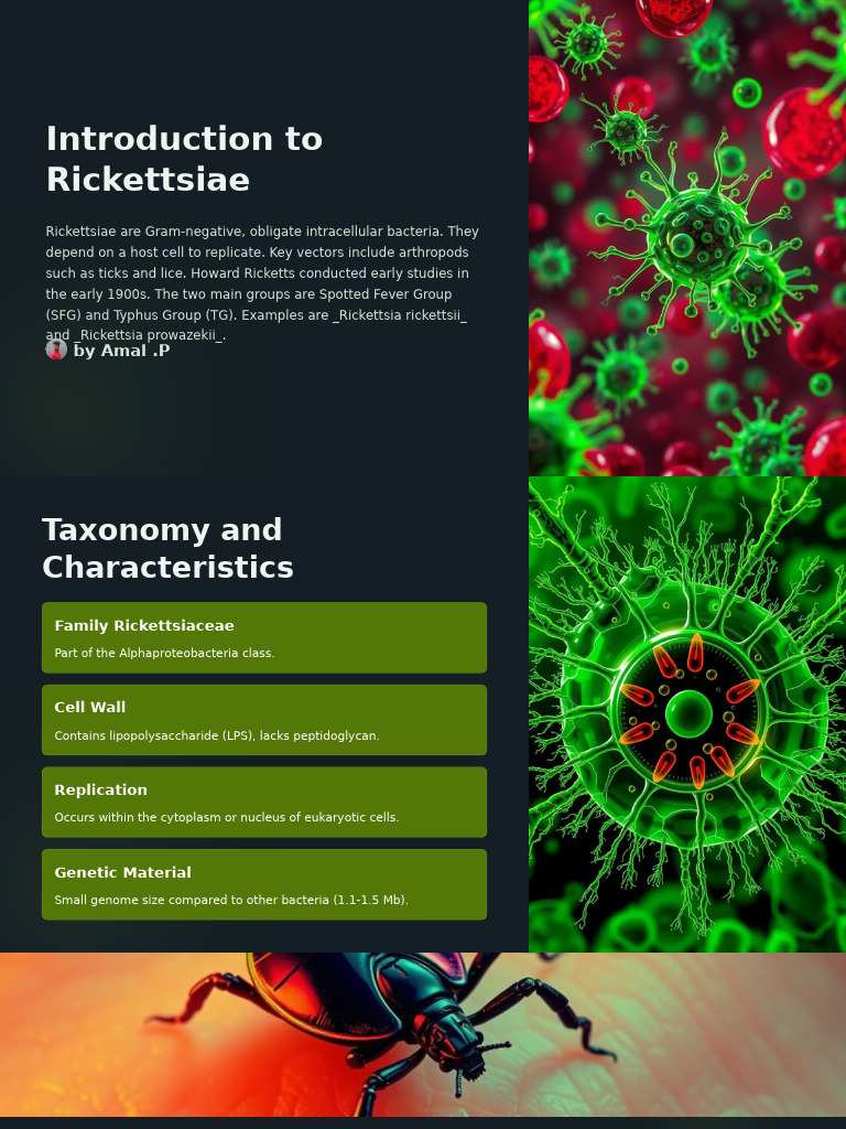 Introduction To Rickettsiae | PDF | Human Diseases And Disorders ...
