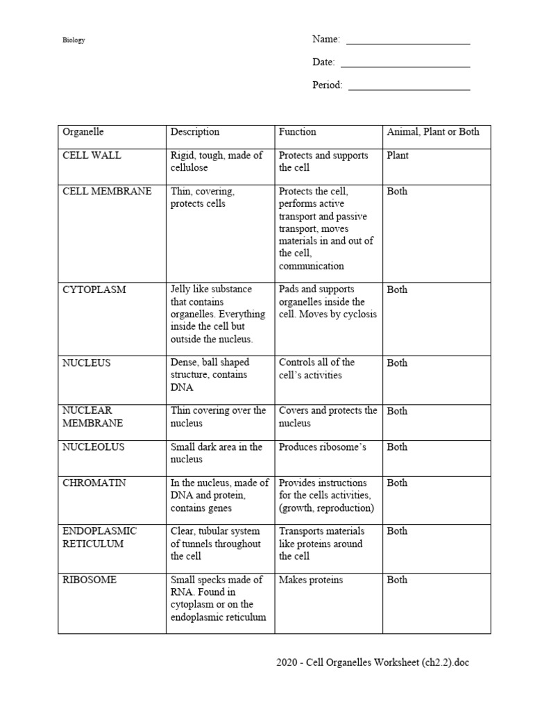 2020 - Cell Organelles Worksheet ch2.2 | PDF | Cell (Biology) | Cell Nucleus