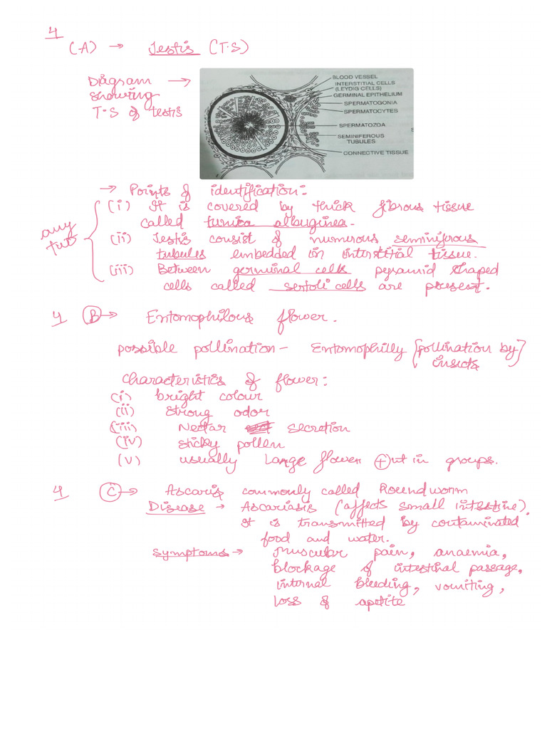 Practical Bio Boards | PDF
