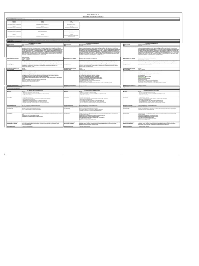 Anexo 02 - PerfilesHabilidadesDigitalesJO - XLSX - 02. Analista de Sistemas Inform | PDF ...